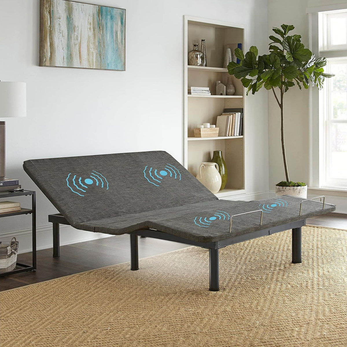 Boyd Sleep Boyd Sleep Queen Bed Frame Base: Adjustable Zero-Gravity ...